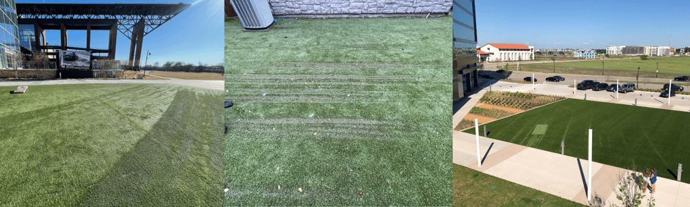 Preventing Burned Turf: Tips and Solutions — ForeverLawn Texas