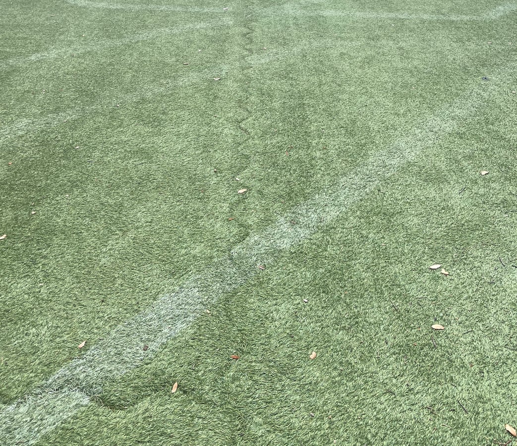 11 Questions to Ask During Your Turf Consultation (and Why They Matter)